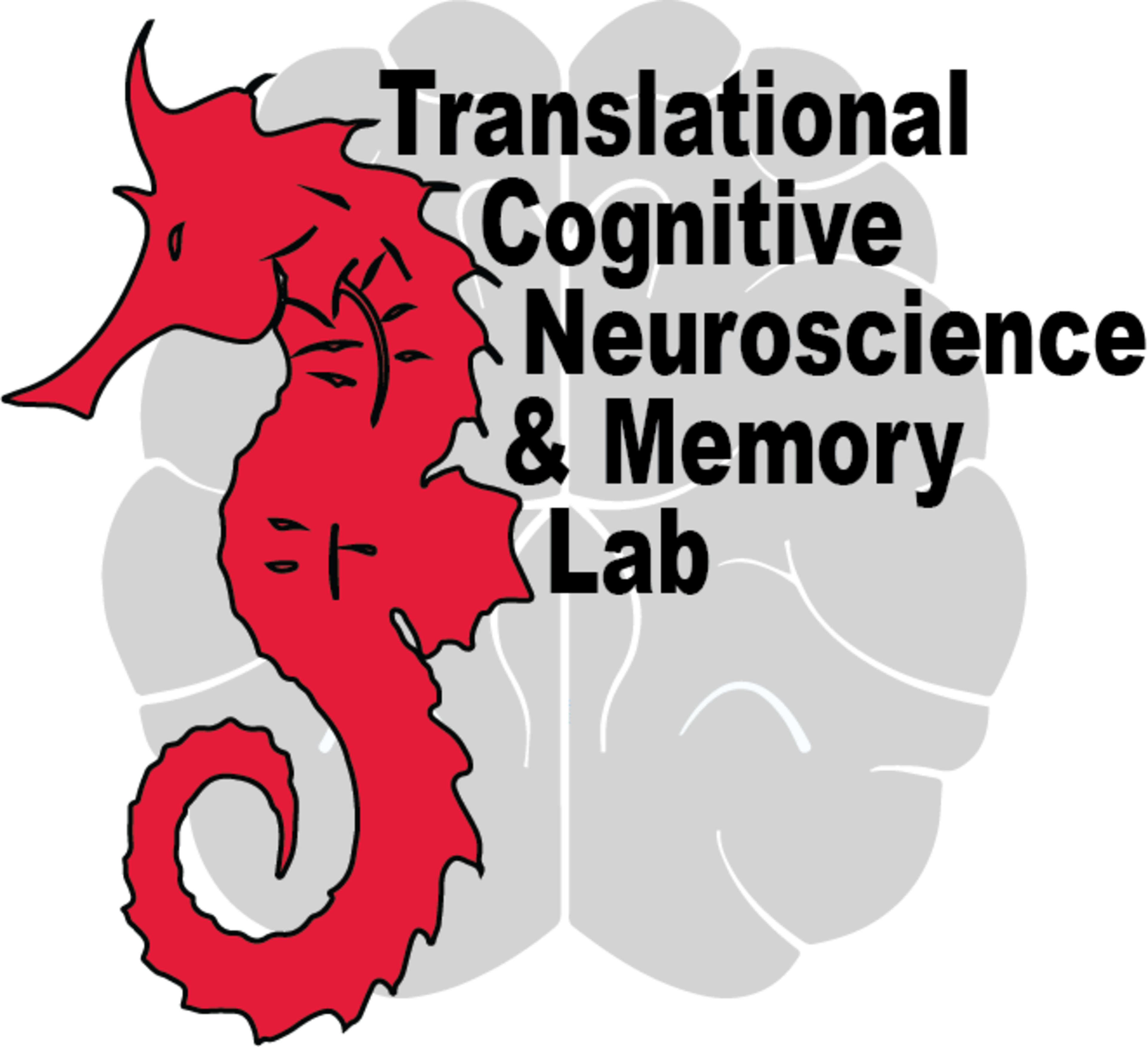 Translational Cognitive Neuroscience Memory Lab Nebraska